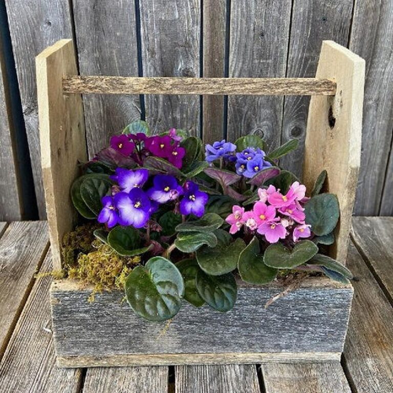 29 Charming African Violets Display Ideas for Your Home