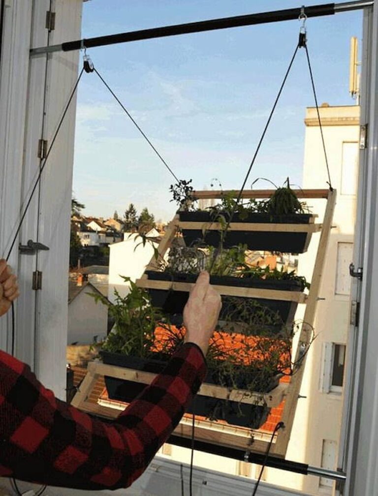 16 Efforless DIY Indoor Window Gardens You'll Love