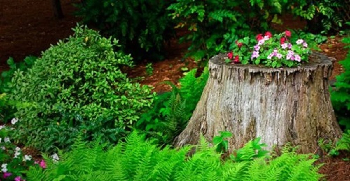 22 Blazing Tree Stump Planter Ideas That'll Transform Your Garden