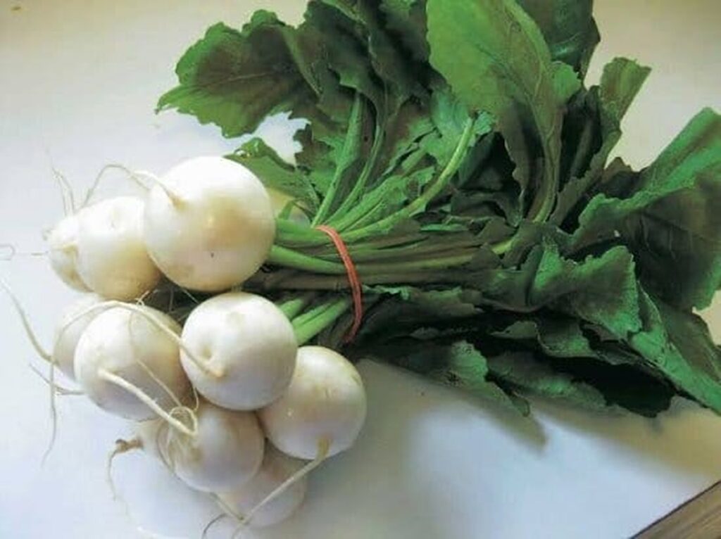 23 Delicious Types of Turnips: Best Varieties for Your Garden