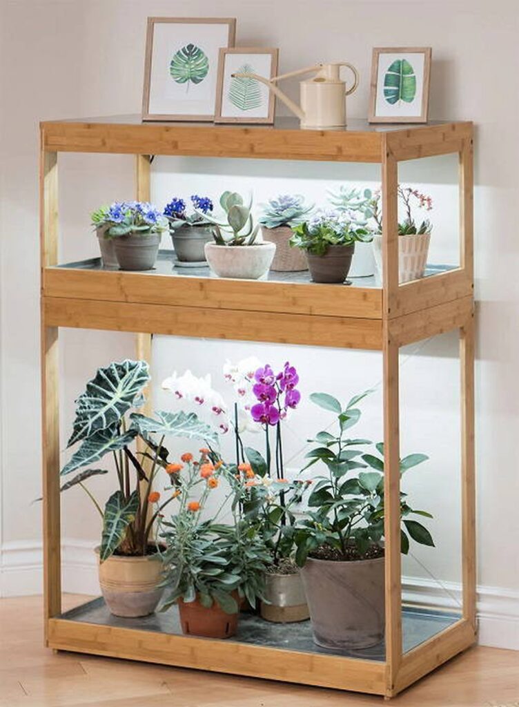 29 Charming African Violets Display Ideas for Your Home