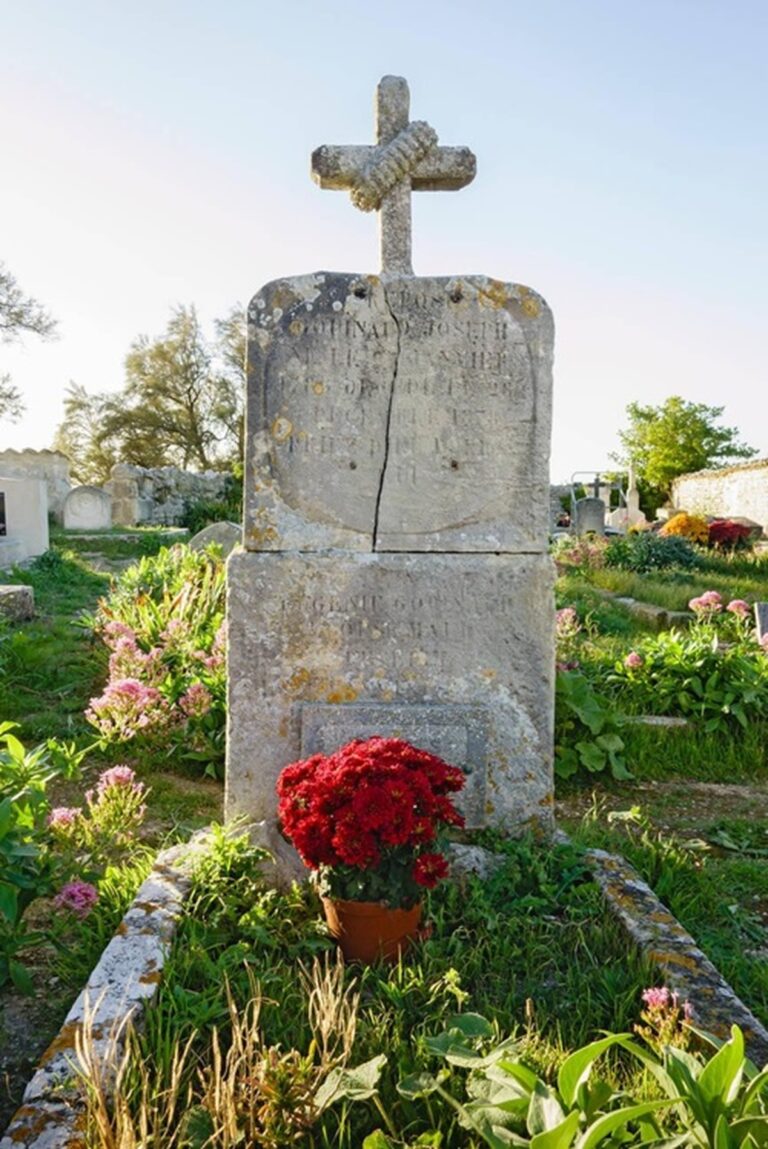 20 Beautiful Flowers for Graves and Cemeteries: Honor Loved Ones