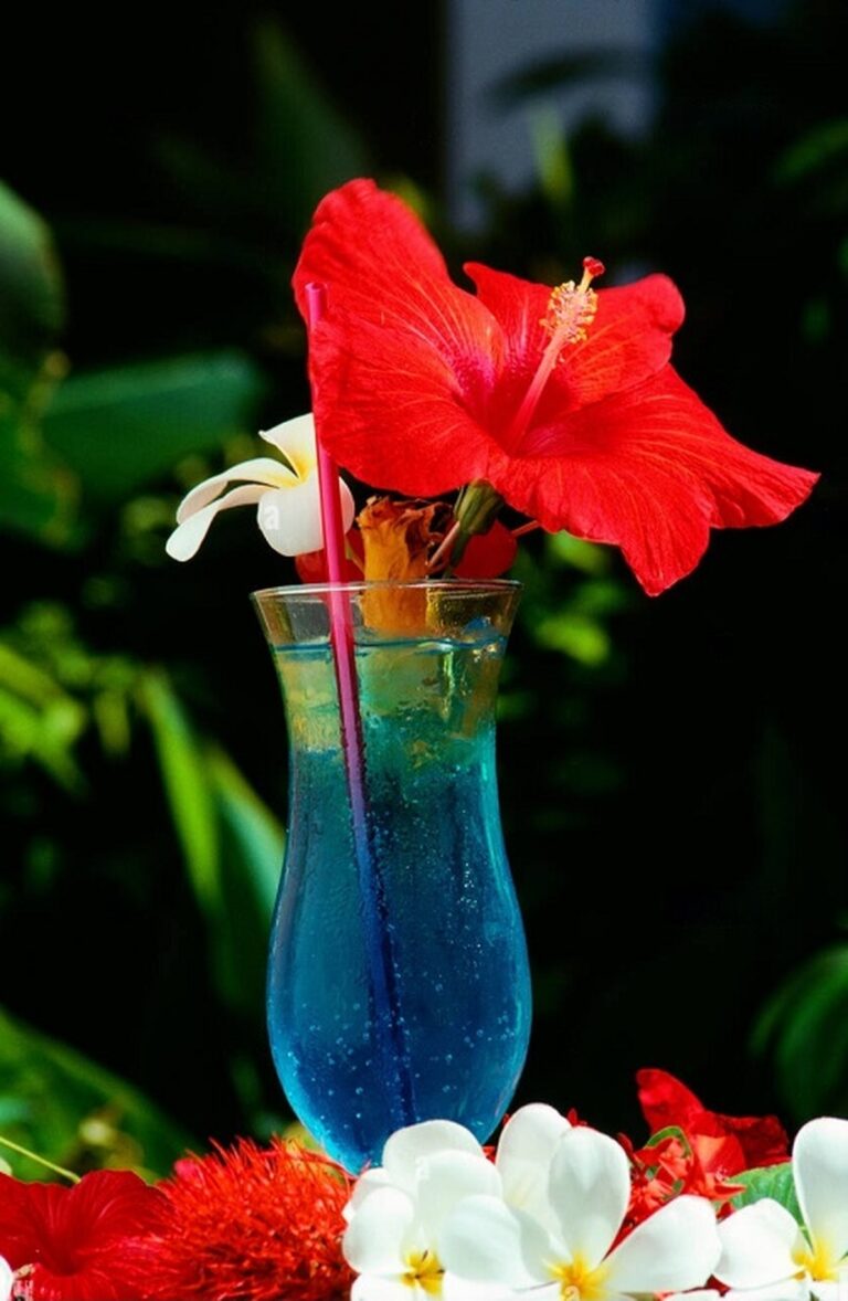 32 Delicious Edible Flowers for Cocktails to Brighten Your Drinks
