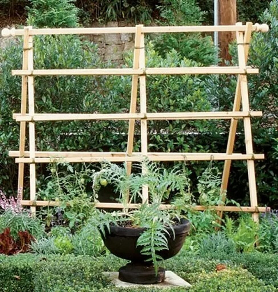 52 Stunning DIY Trellis for Plants Ideas to Transform Your Space