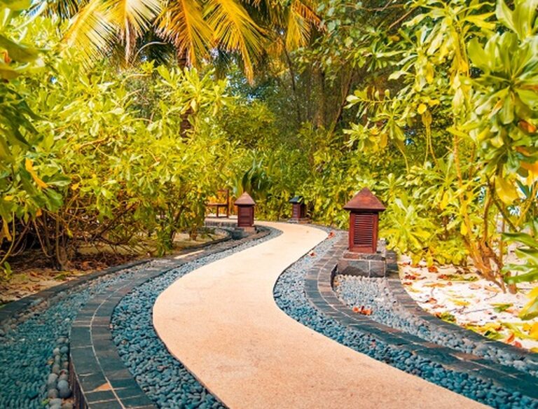 55 Stunning Zen Garden Ideas on a Budget That Feel Like Paradise