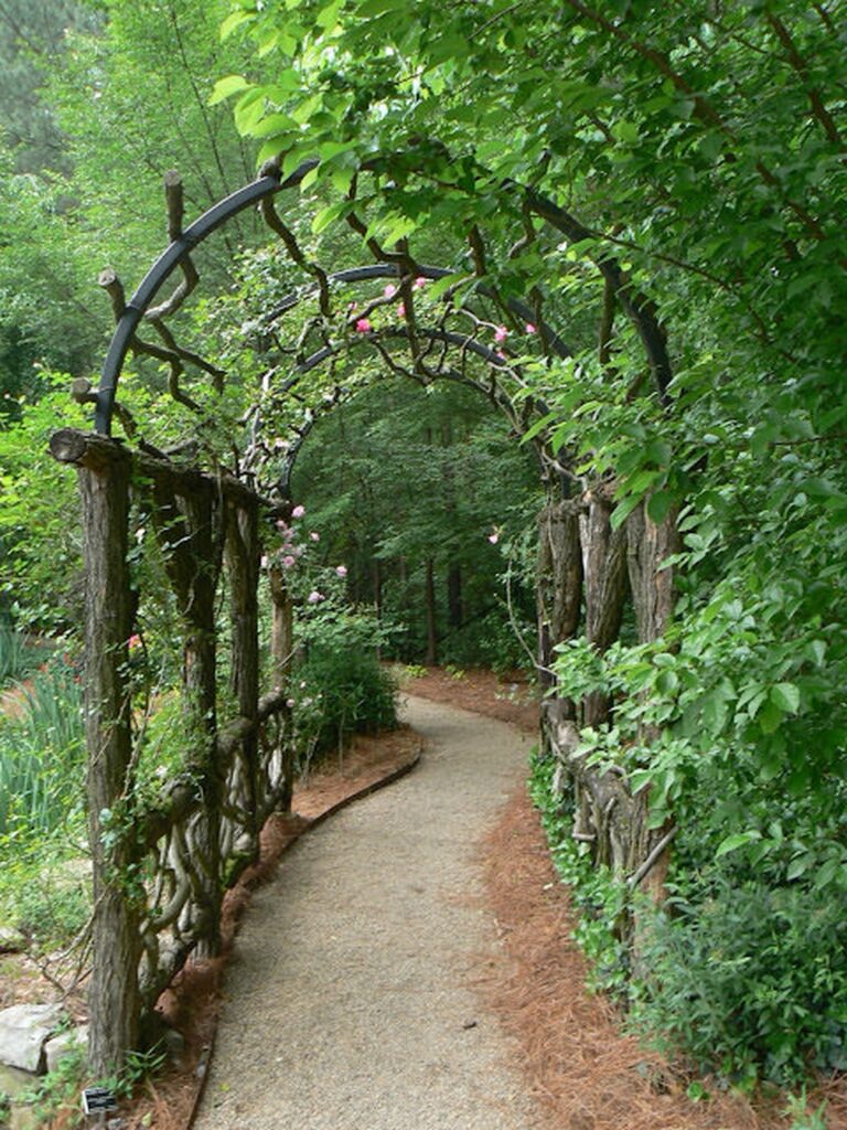 22 Charming DIY Garden Decor Ideas Using Tree Branches
