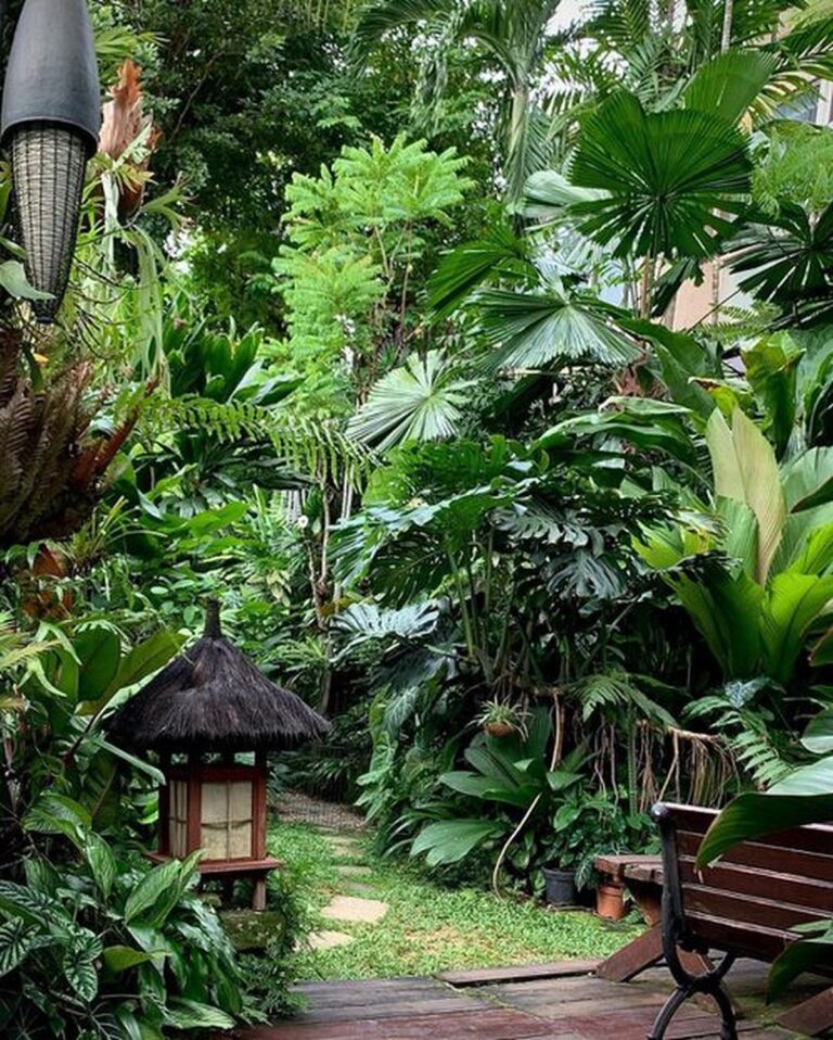 25 Breathtaking Tropical Garden Bed Ideas for Dream Backyards
