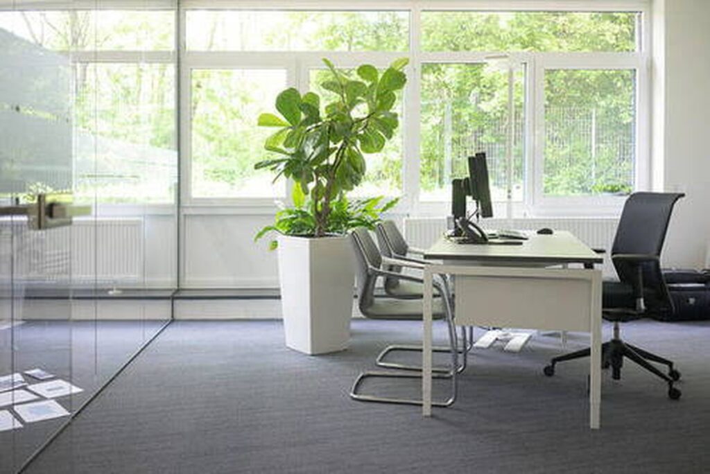 20 Charming Office Plant Decor Ideas for a Fresh Workspace