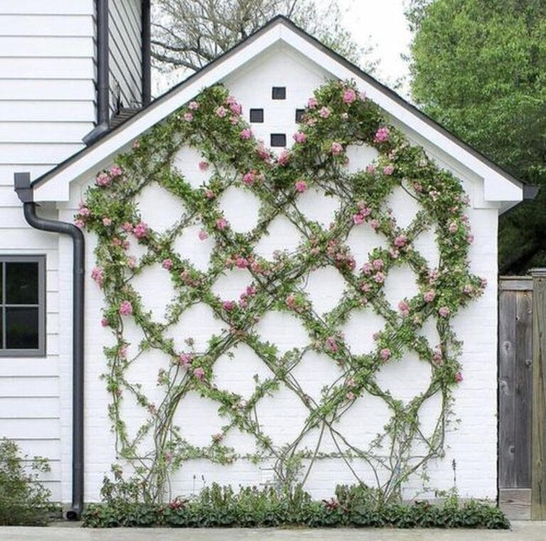26 Beautiful DIY Rose Trellis Ideas for Your Garden