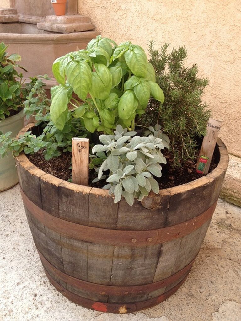 31 Gorgeous Plants For Barrels That Will Transform Your Garden
