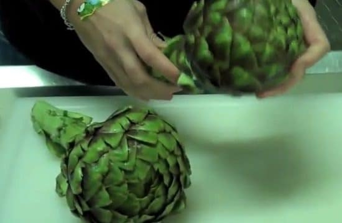 15 Incredible Artichoke Plant Varieties for Your Garden Journey