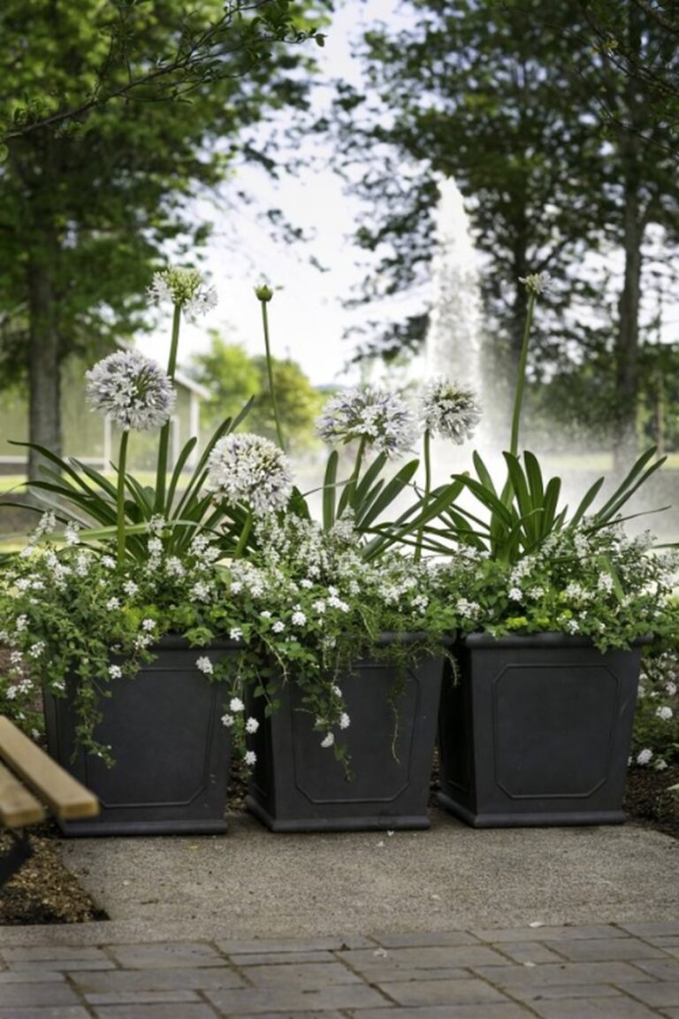 48 Stunning Plant Combination Ideas for Container Gardens