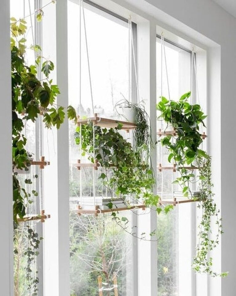 26 Charming Indoor Window Shelf Ideas for Plants to Brighten Up