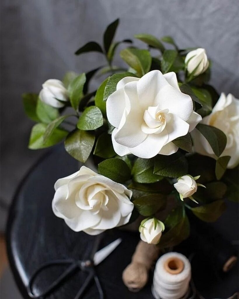 19 Beautiful Flowers That Mean Forgiveness for Heartfelt Apologies