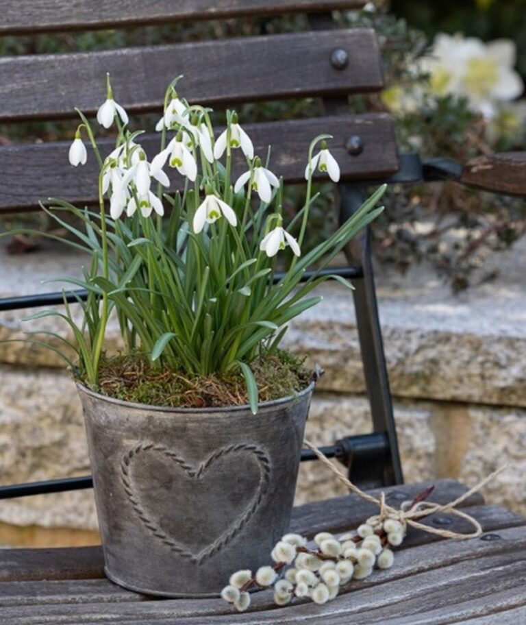 15 Enchanting Flowers with White Bells That Charm Gardens