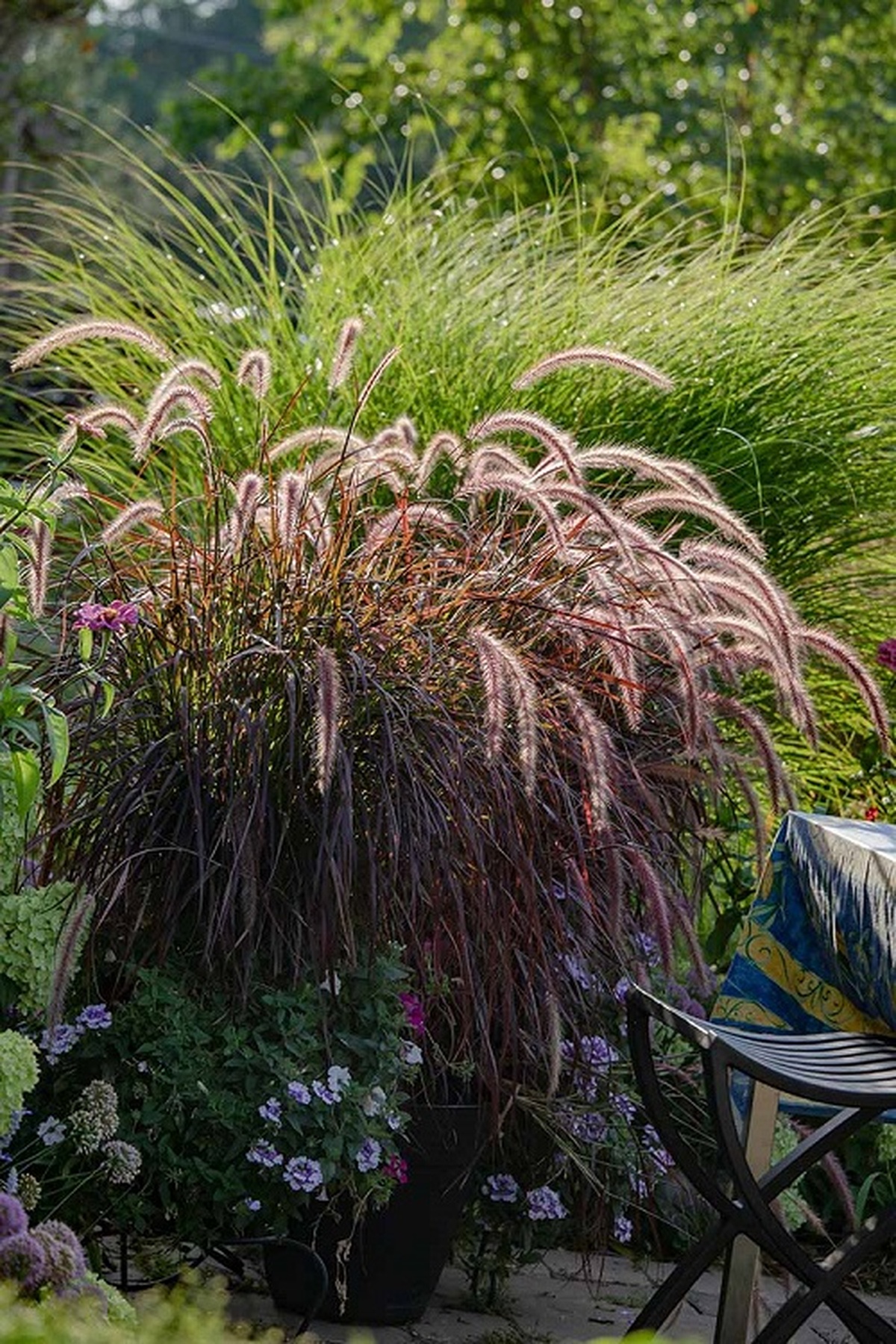 11 Ideal Grasses that Flower for Gardens