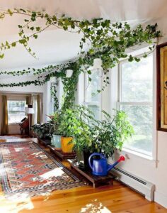 40 Charming Ways to Display Vines Both Indoors and Outdoors