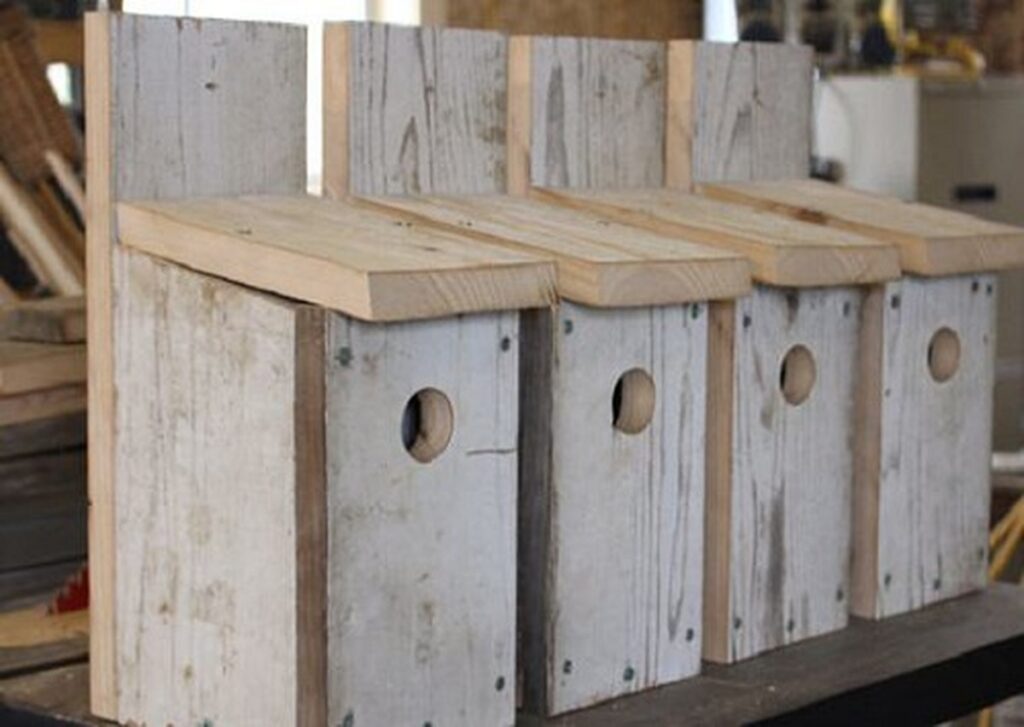 53 Charming DIY Birdhouse Ideas That Transform Your Garden