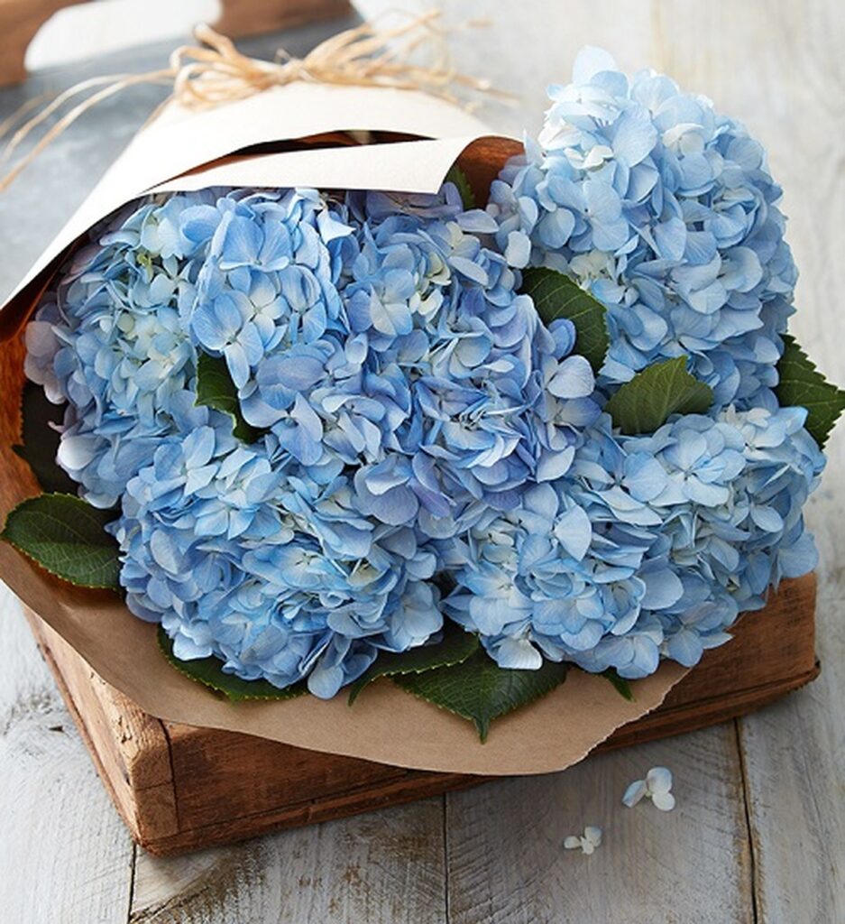 24 Gorgeous Flowers to Bring on Your First Date