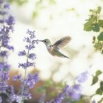 27 Beautiful Plants That Attract Hummingbirds to Your Garden