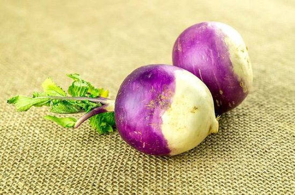 23 Delicious Types of Turnips: Best Varieties for Your Garden