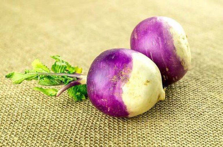 23 Delicious Types of Turnips: Best Varieties for Your Garden
