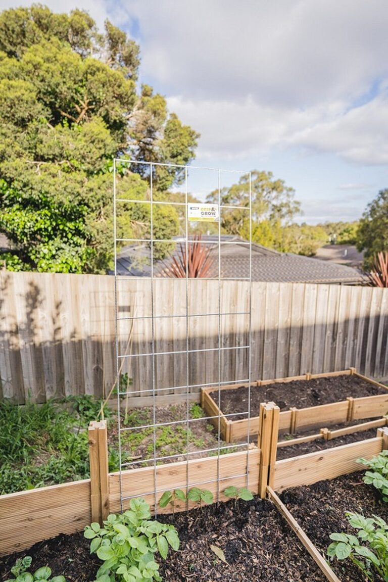 25 Genius Plant Support Ideas That Really Work