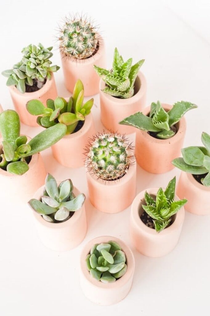 36 Adorable DIY Tiny Planters to Make in a Snap