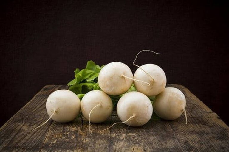 23 Delicious Types of Turnips: Best Varieties for Your Garden