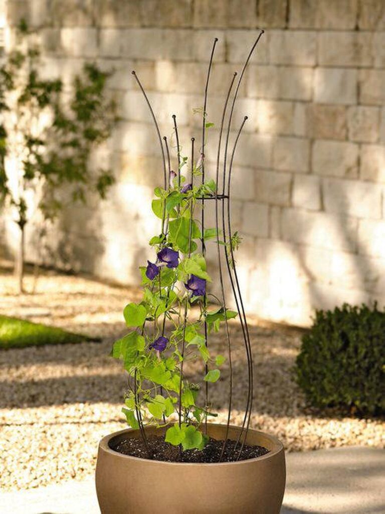 23 Beautiful DIY Plant Trellises for Pots Anyone Can Make