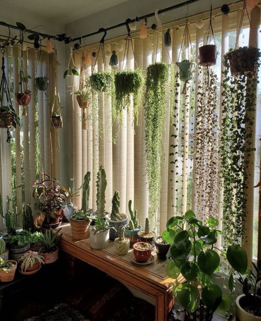 22 Gorgeous Green Plants As Curtain Ideas for a Natural Home