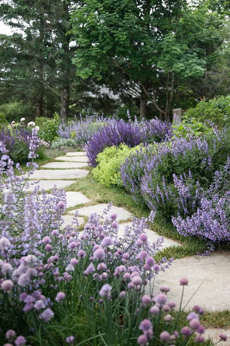 25 Stunning Lavender Garden Design Ideas for Perfect Landscaping