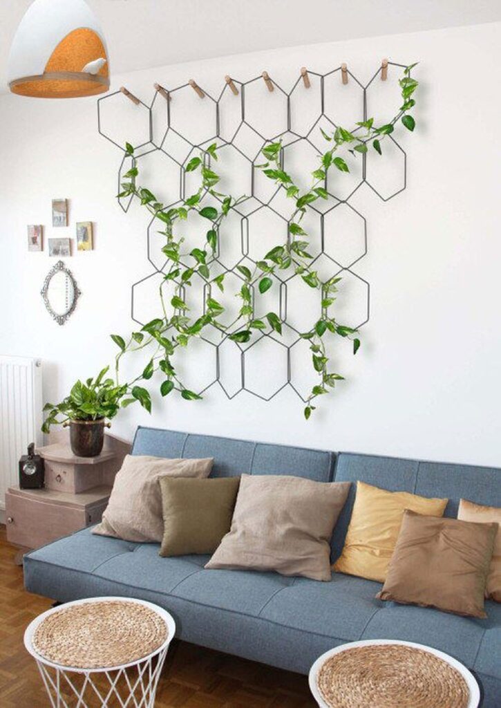 40 Charming Ways to Display Vines Both Indoors and Outdoors