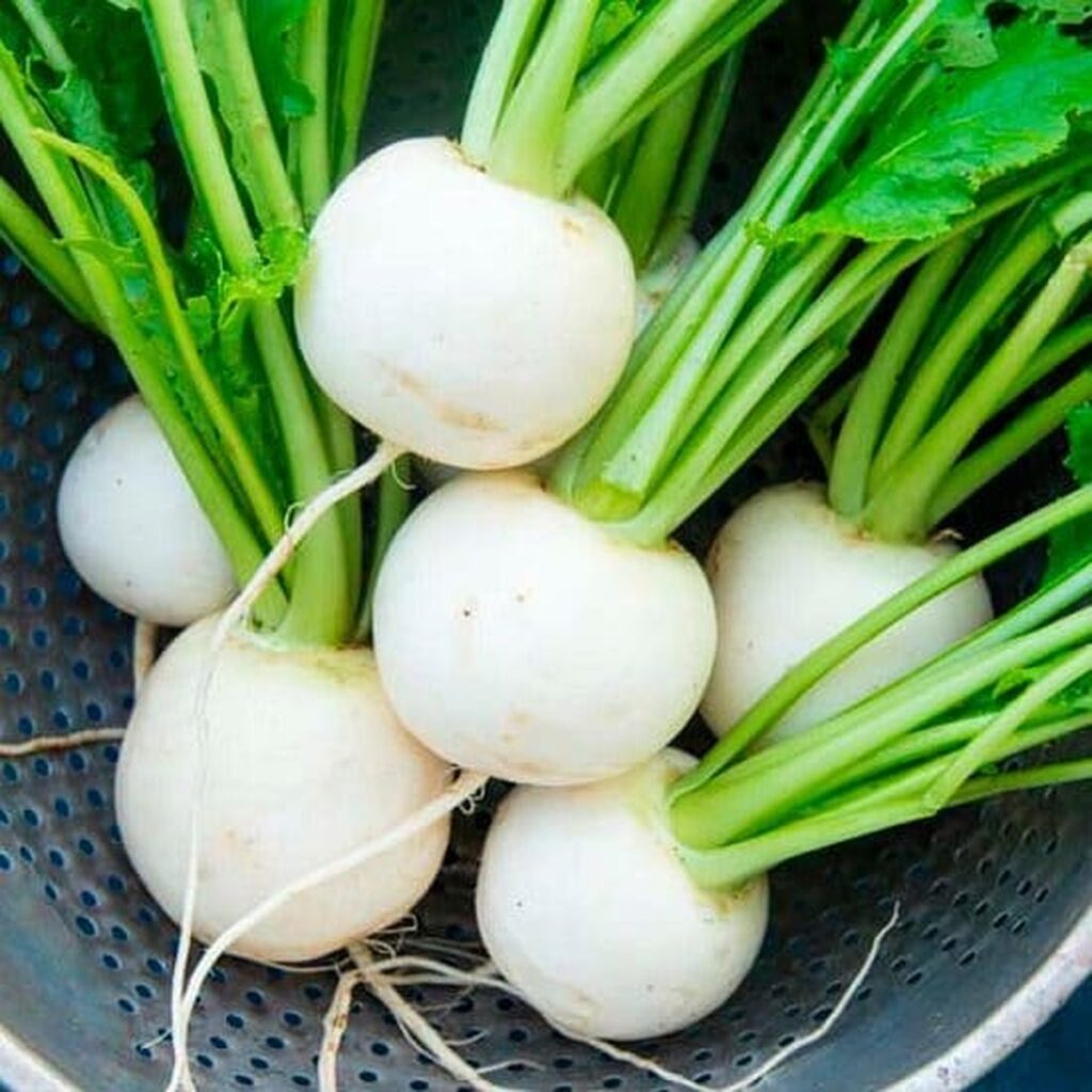 23 Delicious Types of Turnips: Best Varieties for Your Garden