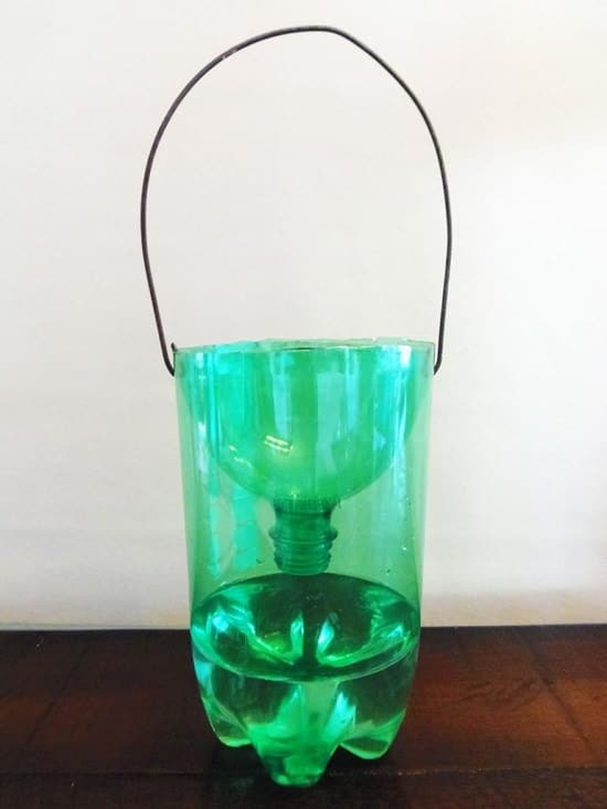 7 Brilliant DIY Wasp Trap Ideas for Garden - Buzz Be Gone!