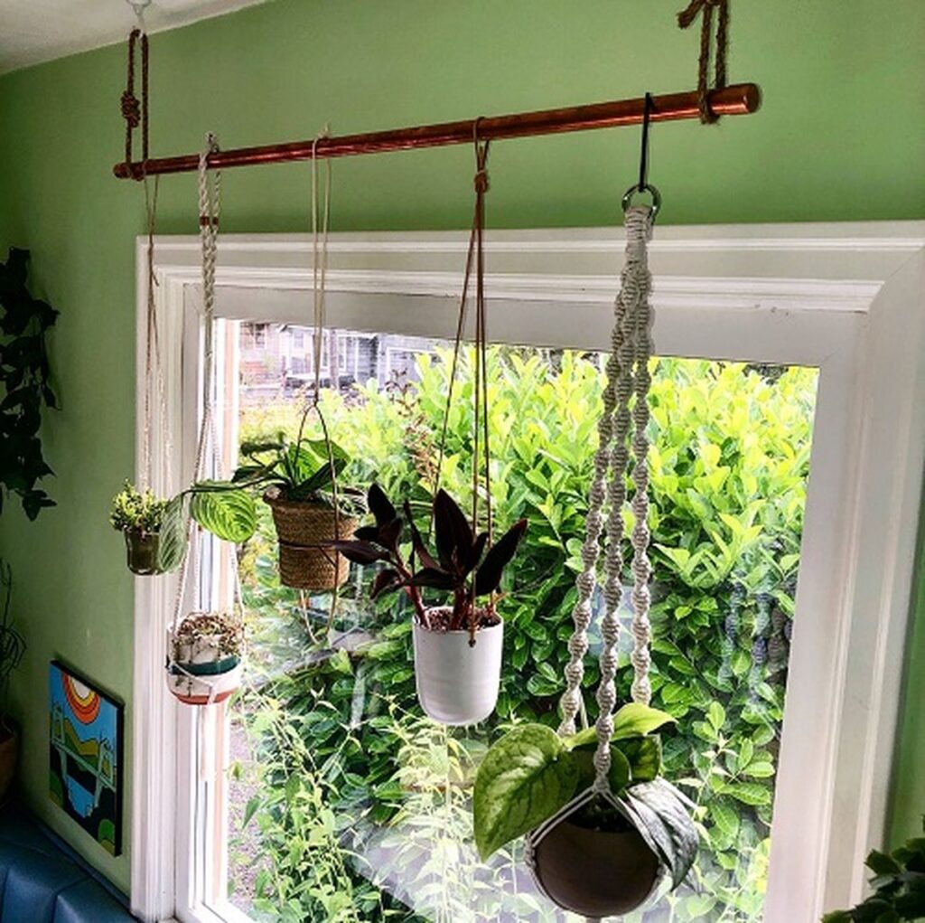 33 Gorgeous Hanging Plants for Front Windows to Brighten Your Home