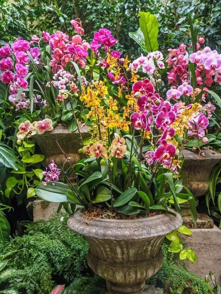 29 Enchanting Dainty Flowers That Brighten Any Space