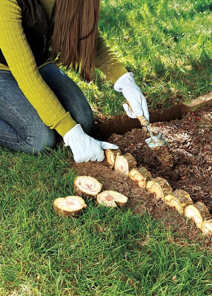 12 Brilliant Ways to Repurpose Your Dead Christmas Tree