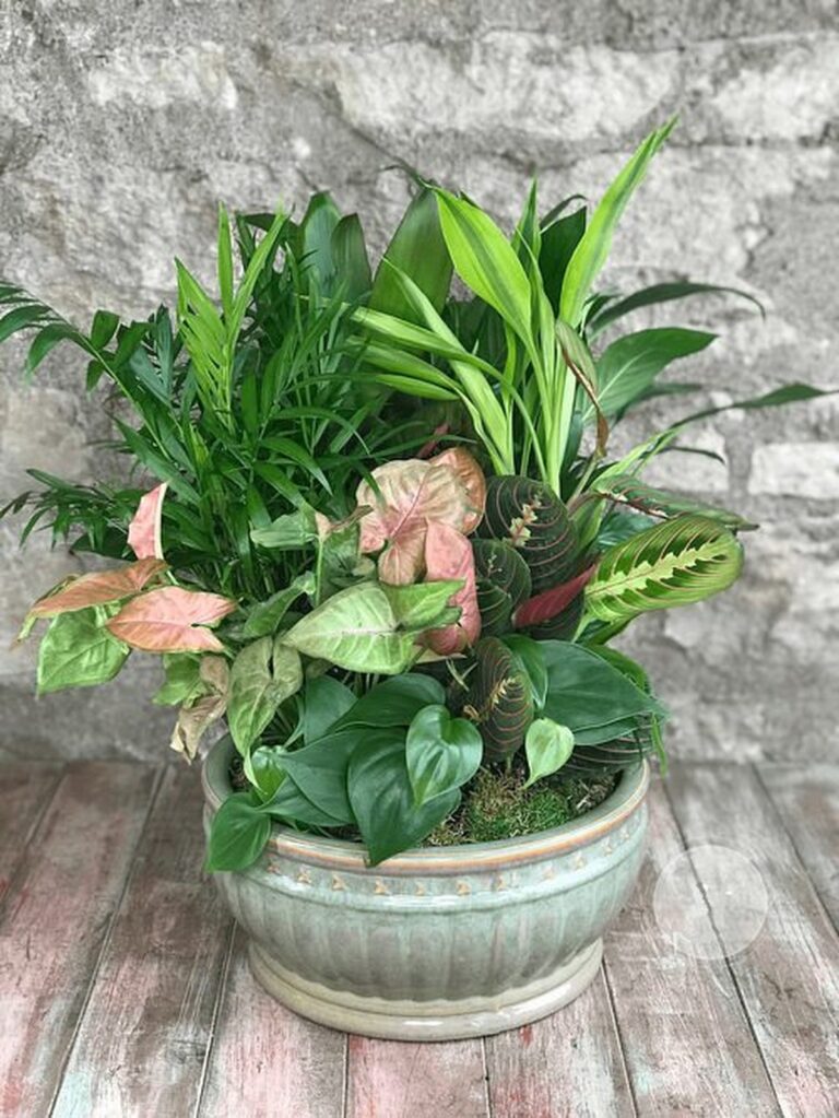 21 Gorgeous Houseplant Combination Ideas To Refresh Your Space