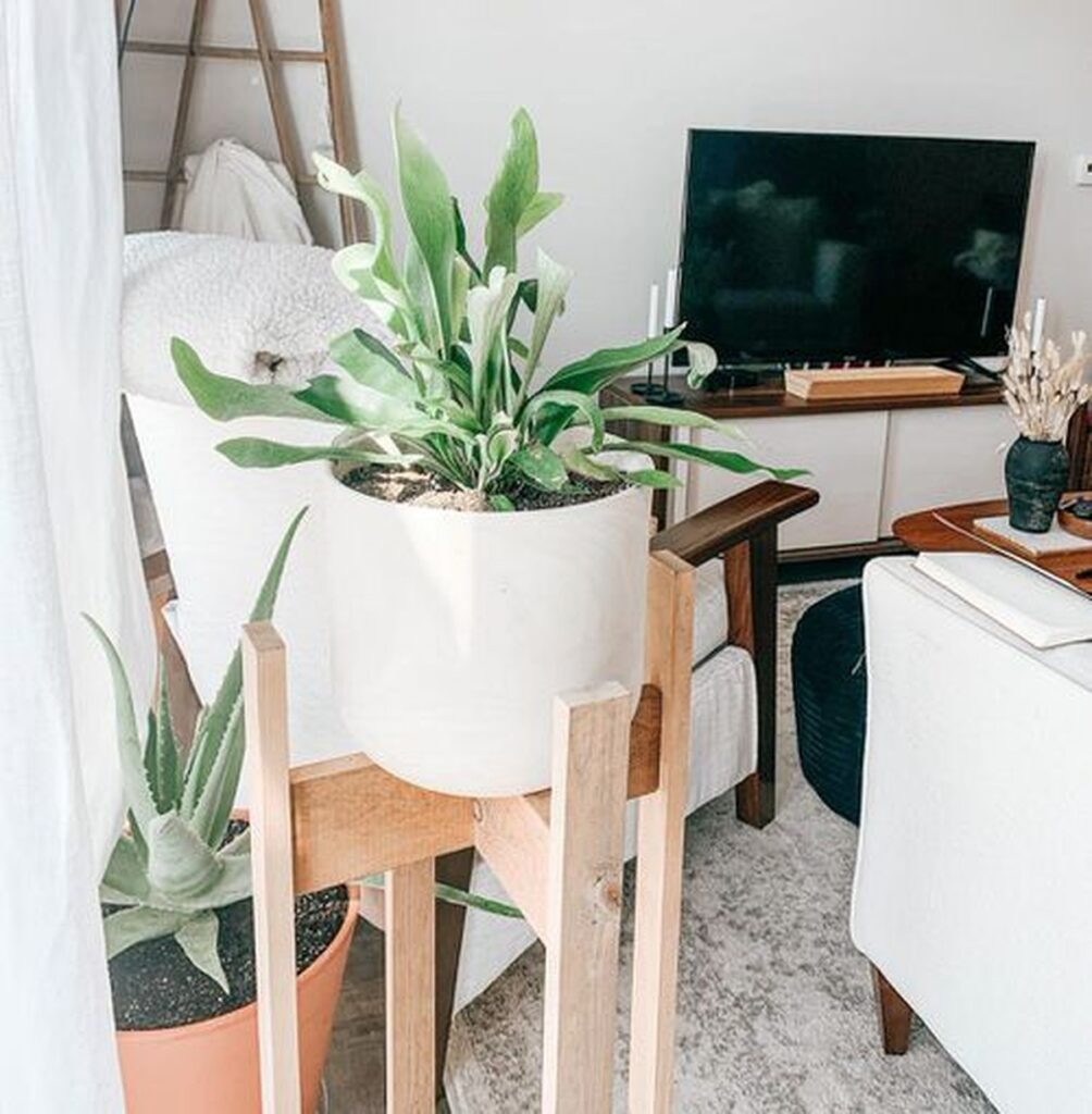 27 Stunning Ways IKEA Pots Transform Your Indoor Plants