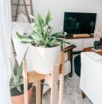 27 Stunning Ways IKEA Pots Transform Your Indoor Plants