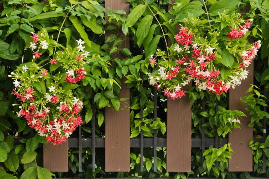 16 Charming Small Flowering Vines for Trellises to Admire