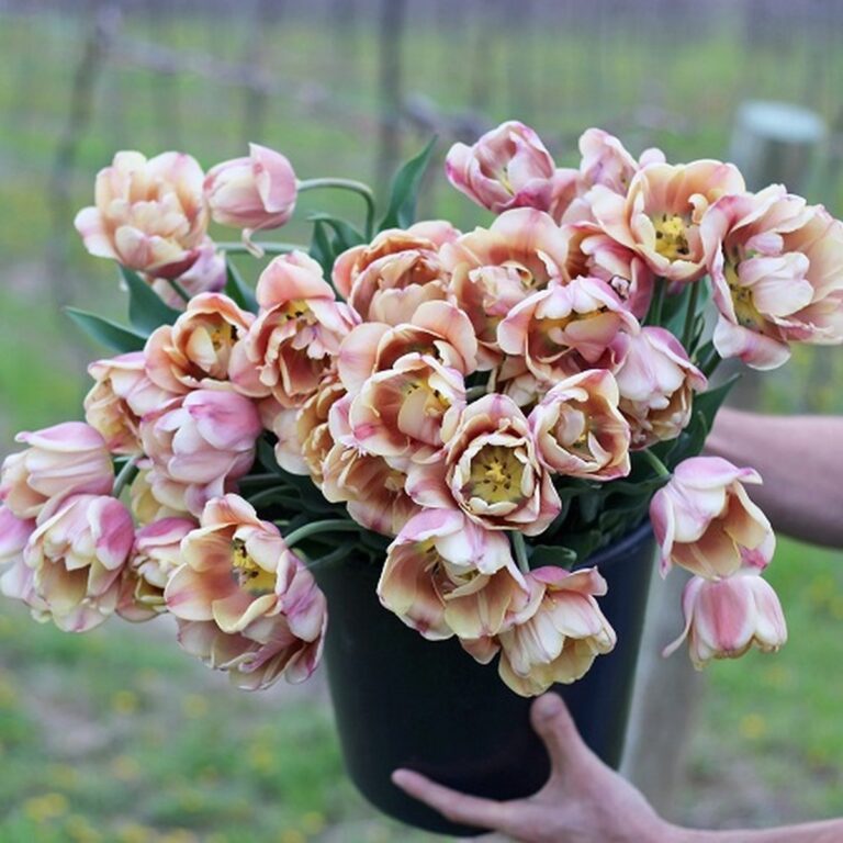 15 Beautiful Beige Flowers That Brighten Any Garden