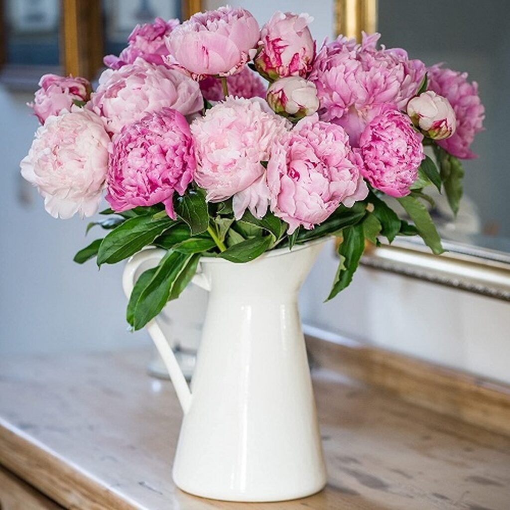 24 Gorgeous Flowers to Bring on Your First Date