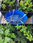 23 Clever DIY Garden Watering Systems Anyone Can Make Today