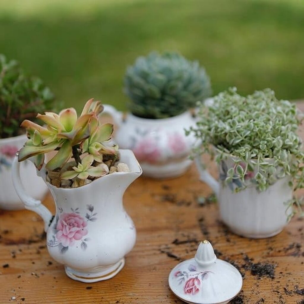 31 Adorable DIY Teacup Garden Ideas Everyone Will Love