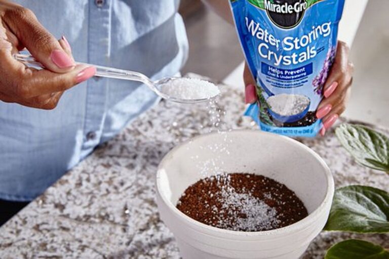 16 Brilliant Self Watering Hacks for Effortless Plant Care