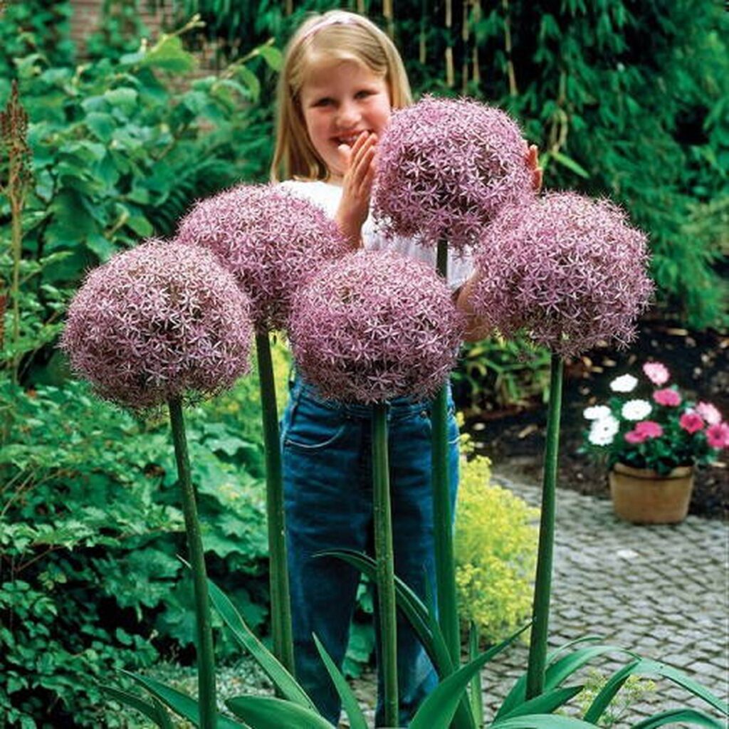 18 Gorgeous Plants That Bloom Massive, Eye-Catching Flowers
