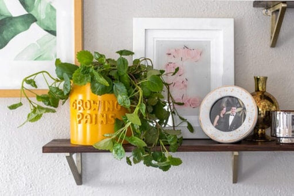 20 Brilliant Ways to Transform Cheap Pots into Expensive DIY Planters