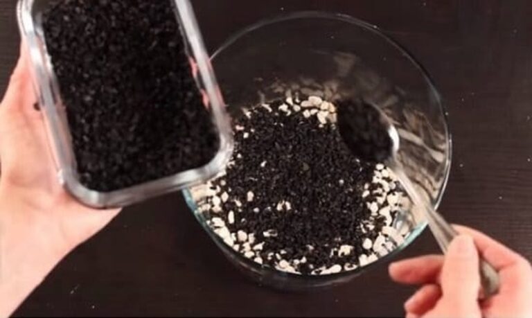 7 Simple Steps to Make a Totally Adorable DIY Desert Terrarium
